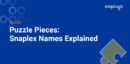 Puzzle Pieces: Snaplex Names Explained | SnapLogic